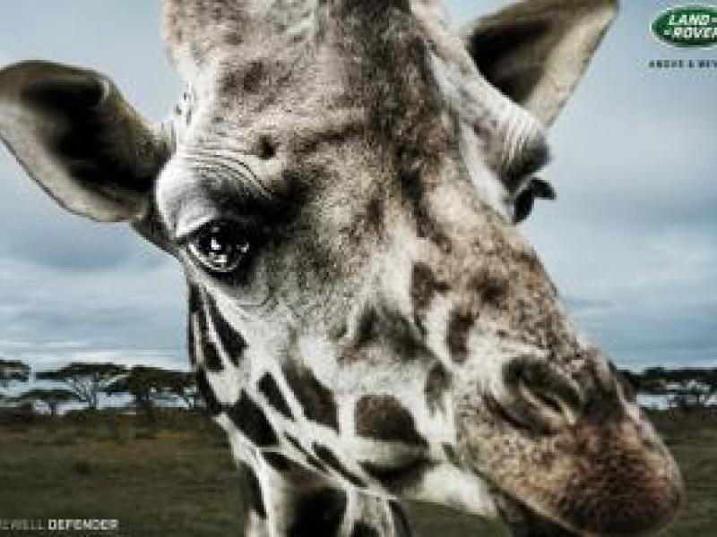 Land Rover: Sad Giraffe | Ad Age