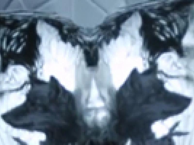 Levi's Film Workshop : Swoon + Cat Solen | Ad Age