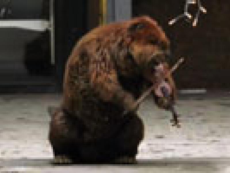 Monster : Fiddling Beaver | Ad Age