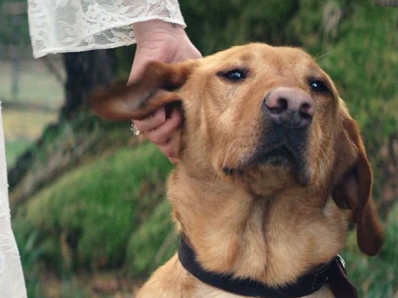 ORVIS: LIVING THE DREAM | Ad Age