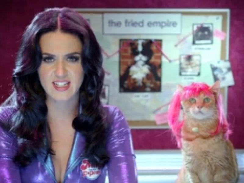'Katy Perry and the Popcats' Fight Fried Chips in New Popchips Film ...