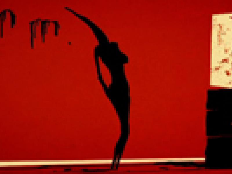 Saatchi New Director's Showcase 2011 : Michal Socha - 'Chick' | Ad Age