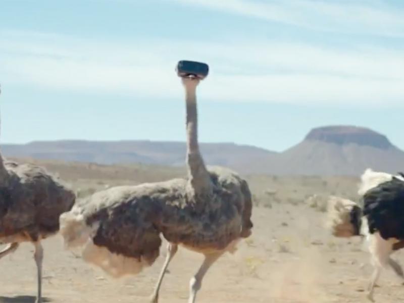 An Ostrich Tries Out VR and Learns to Fly in Samsung's Spot for the ...