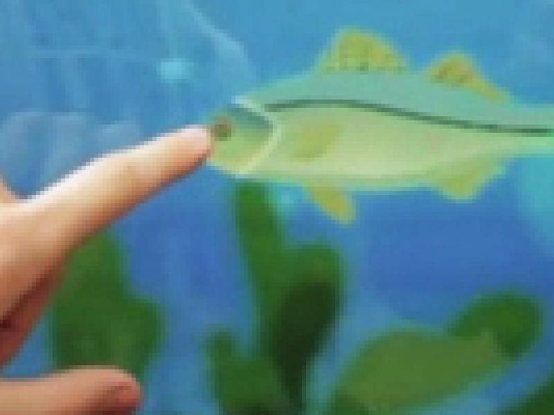 Selfridges : Project Ocean | Ad Age