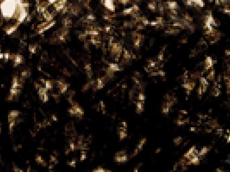 Sex Cinema Venus : The 8mm Bush | Ad Age