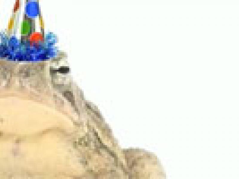 Tyler DeAngelo : Fifth Ave Frogger | Ad Age