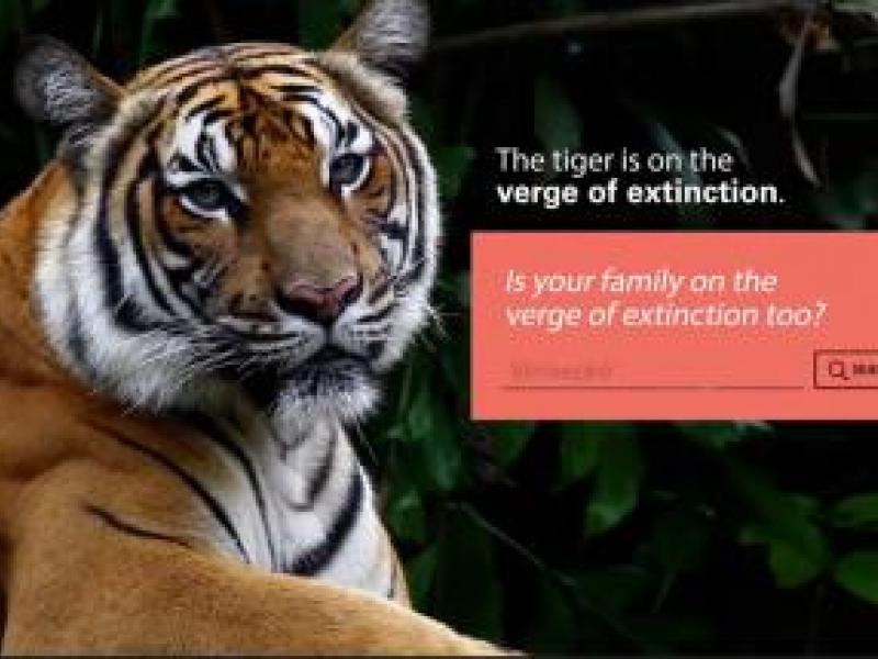 WWF Targets Belgians Who Are 'In Danger of Extinction' | Ad Age