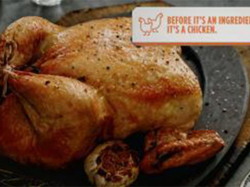 Zoetis: Zoetis Ingredients for Success Campaign | Ad Age