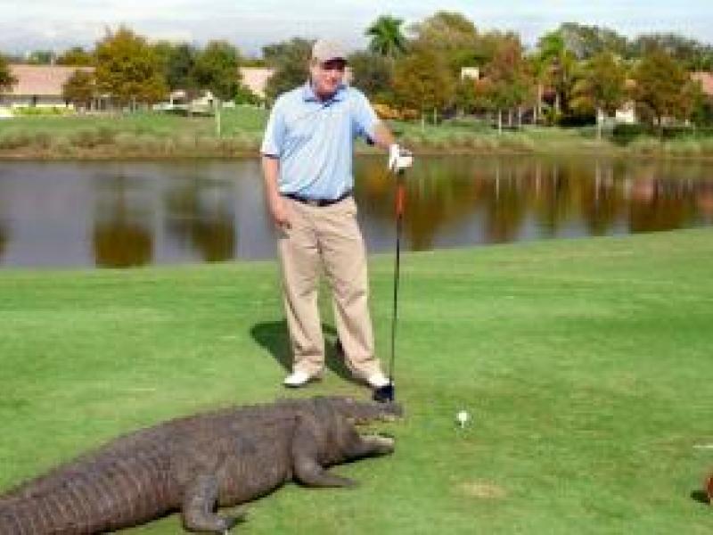 Zurich Insurance: Gator Golf Lesson 2 | Ad Age