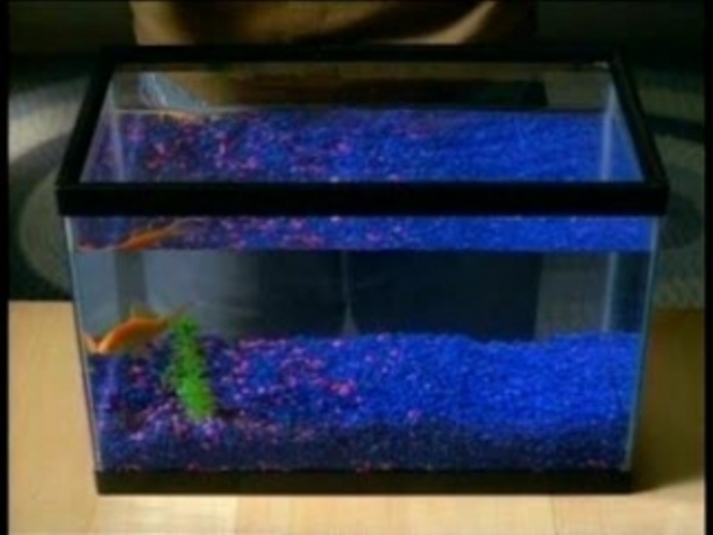 Allstate : Fish Tank | Ad Age