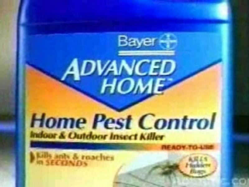 Bayer : Ant | Ad Age