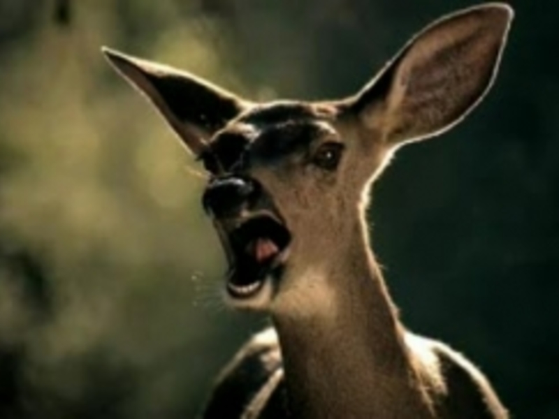 Bridgestone : The Scream | Ad Age