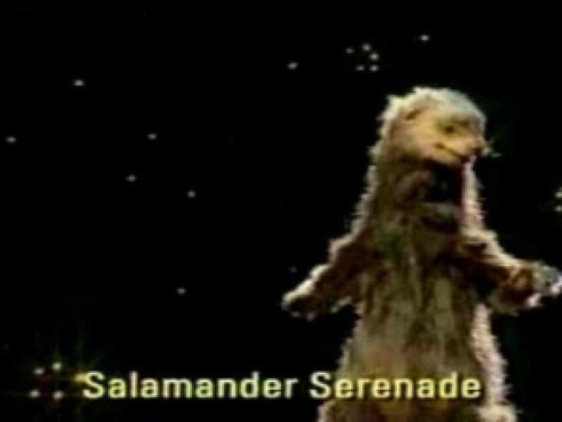 Budweiser : The Ferret Sings | Ad Age