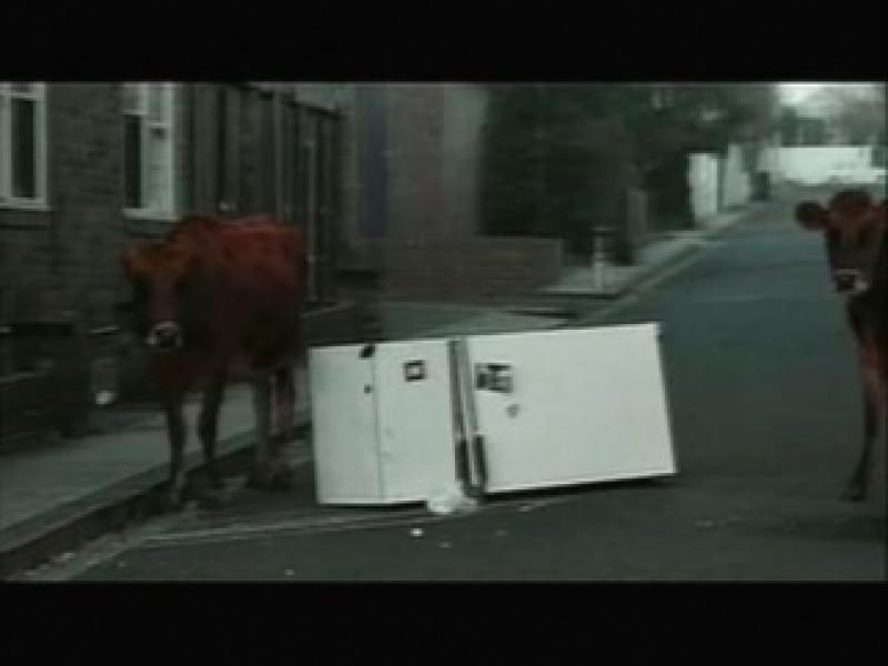 Cravendale : The Hinted | Ad Age
