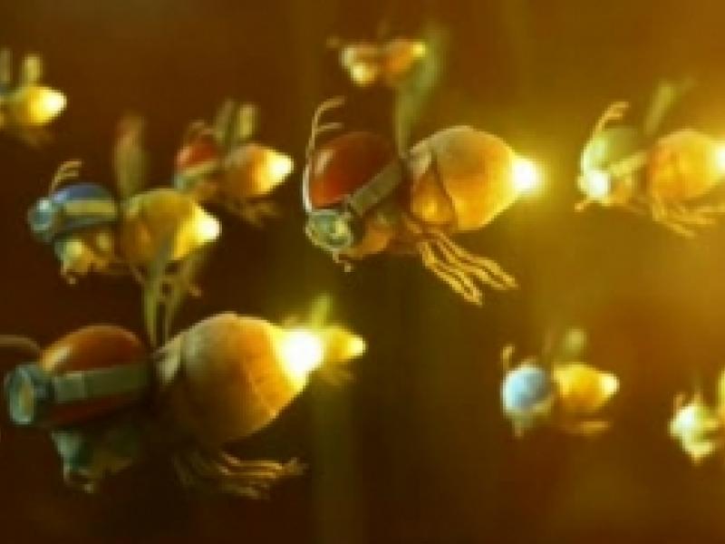 De Lijn : Firefly | Ad Age