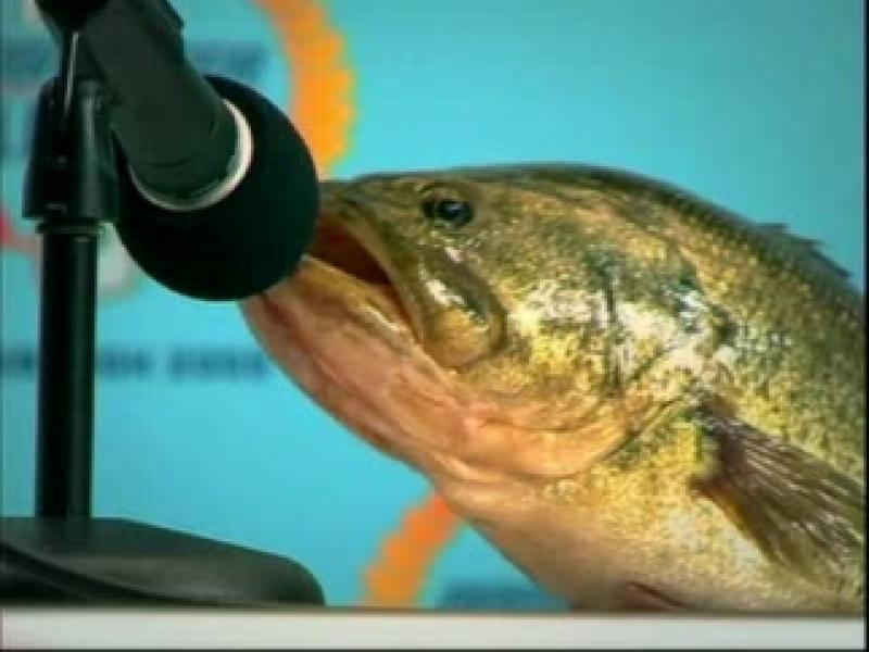 ESPN : Shiny | Ad Age