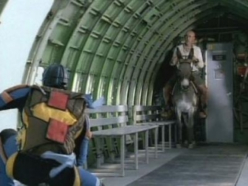 Barnardo's : Skydive Donkey | Ad Age