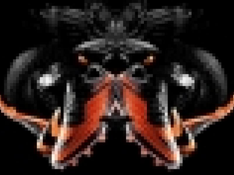 Nike Creates Virtual Stadium To Let You Feel like a Pro Soccer Player ...