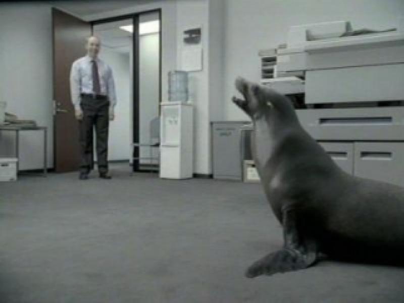 Orbitz : Orlando | Ad Age