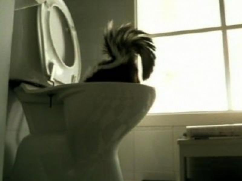 PBS : Skunk | Ad Age