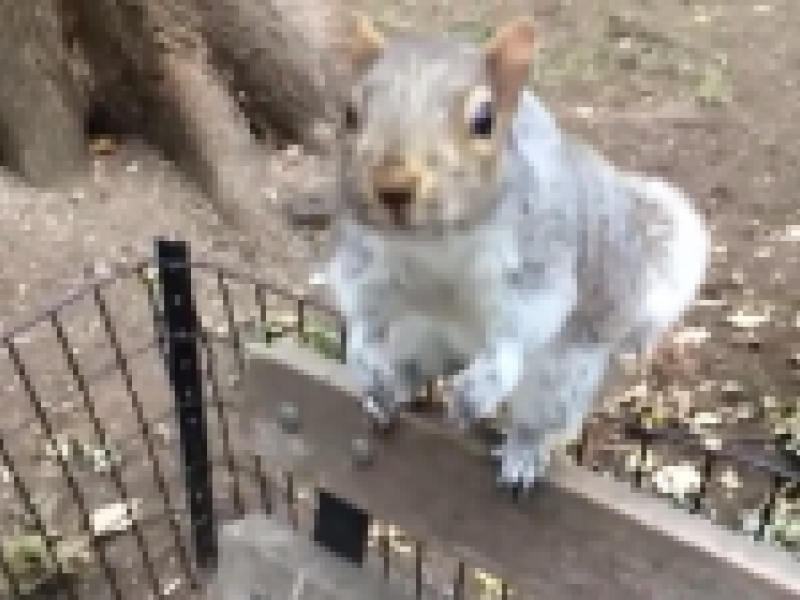 Vine Comedians Emerge As Latest Hot Property for Brands | Ad Age