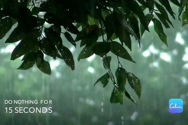 The Calm app’s Election Day TV ad blitz by the numbers: Datacenter ...