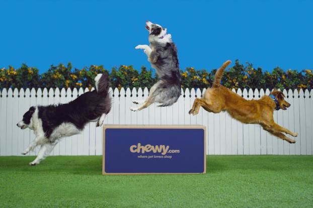 Chewy.com: Launch | Ad Age