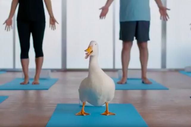 Aflac quacks up quick commercial | Ad Age